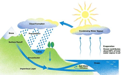IELTS Academic Writing Process Diagram Sample Water Cycle ESL FLUENCY
